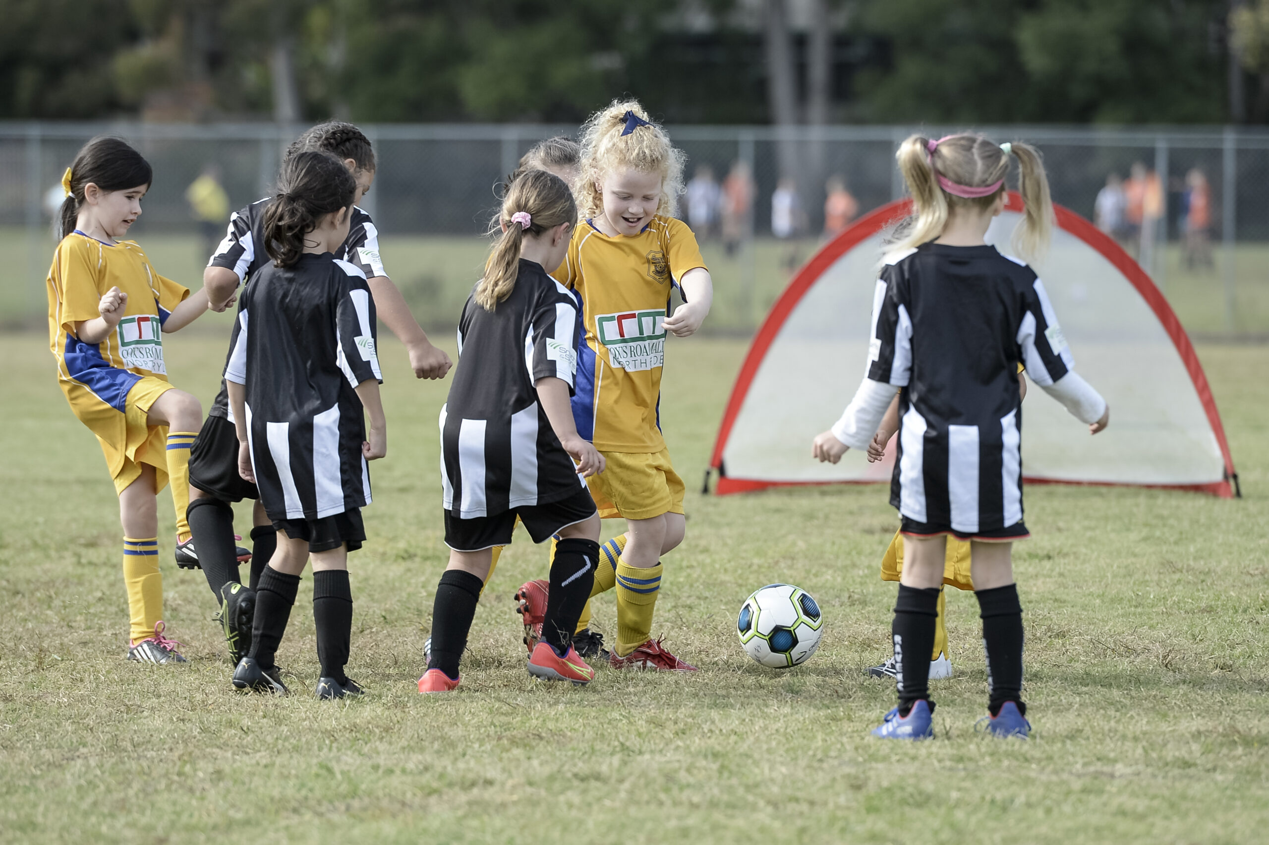 NWSF Miniroos Gala Day - NORTH WEST SYDNEY FOOTBALL